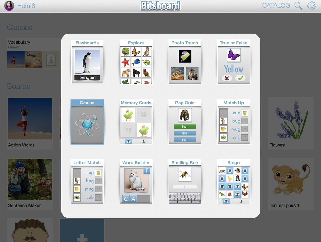 Bitsboard Pro (IPad)